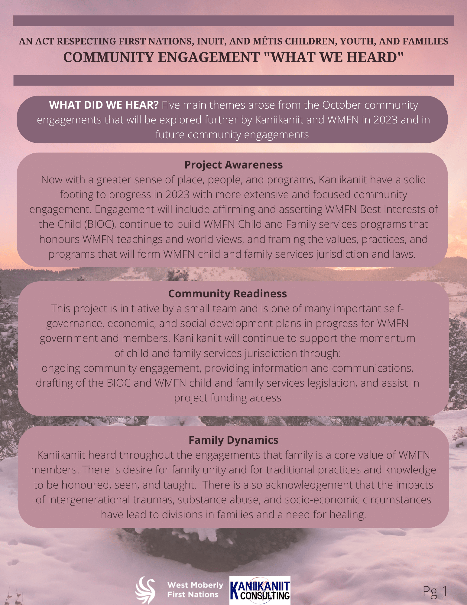 Bill C-92 - An Act Respecting First Nations, Inuit, and Métis Children ...