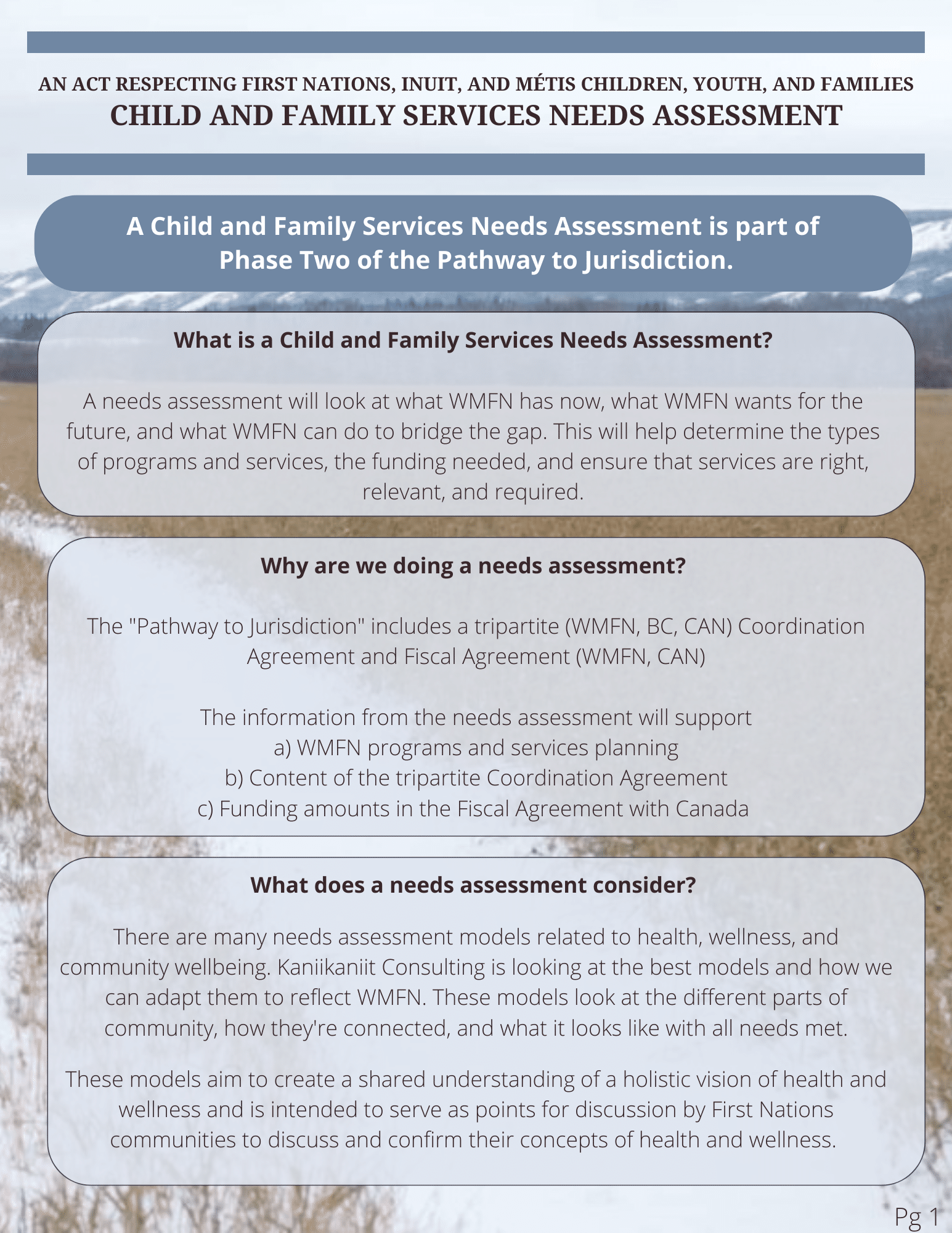 Bill C-92 - An Act Respecting First Nations, Inuit, and Métis Children ...